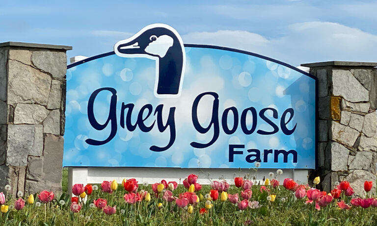 Home - The Grey Goose Farm